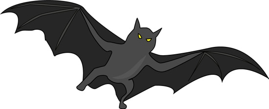 Bat Attack! A cautionary tale