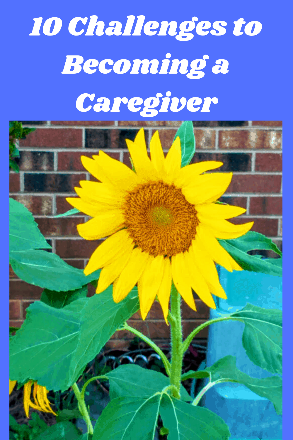 10 Challenges of being a Primary Caregiver